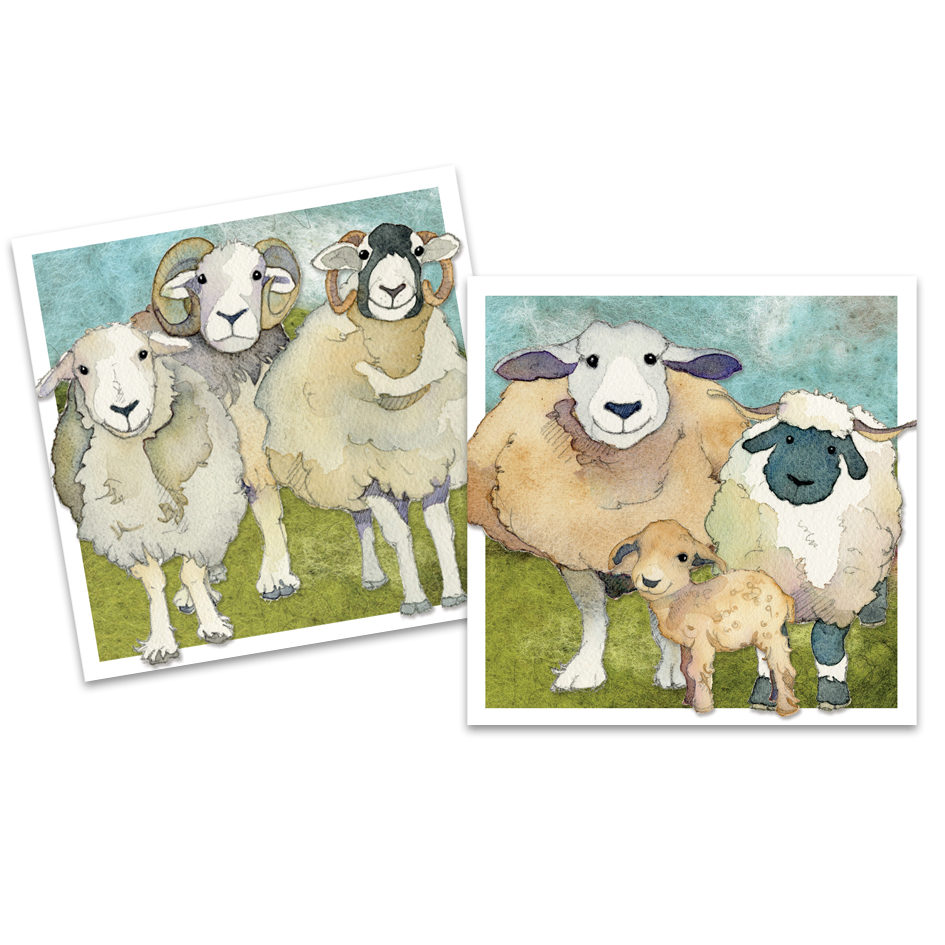 Emma Ball Sheep Mini Cards - Pack of 10 – Monarch Knitting